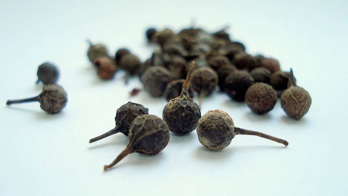 Il pepe: dalla storia millenaria ai suoi segreti culinari e per la salute